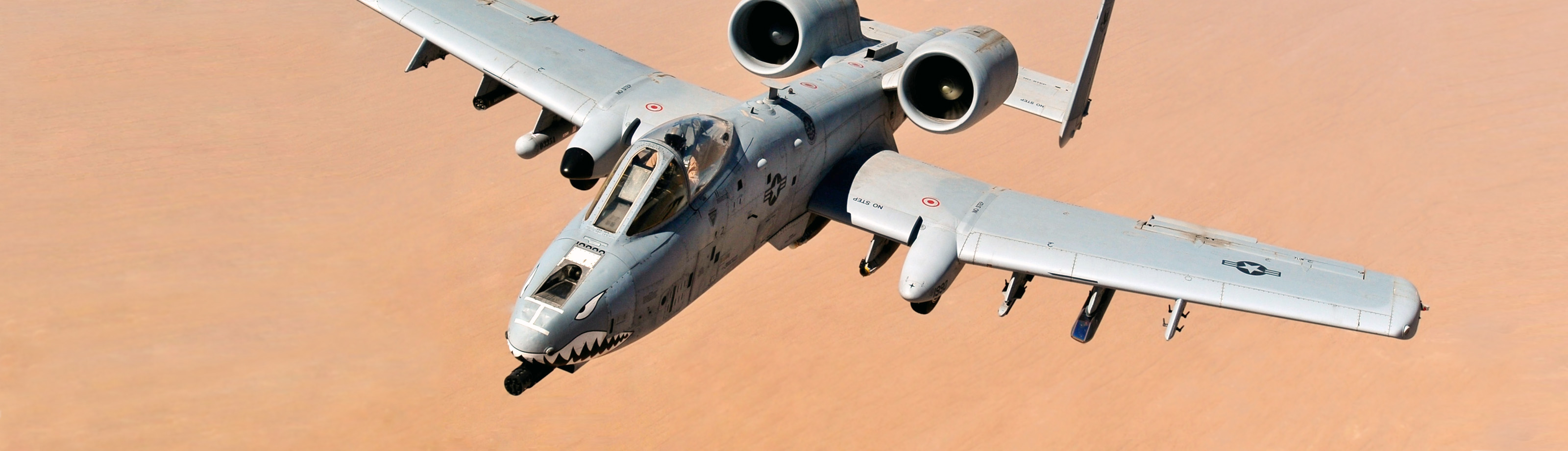 A-10 - Bugeye Technologies
